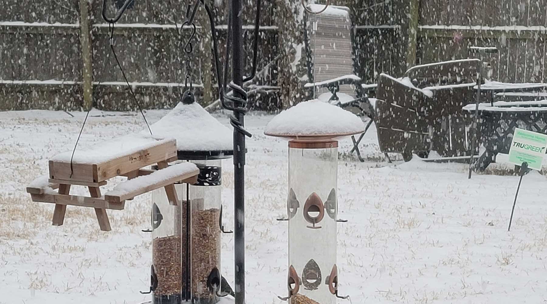 Preparing the Garden for Winter: Guide for Green Thumbs – Yard Butler