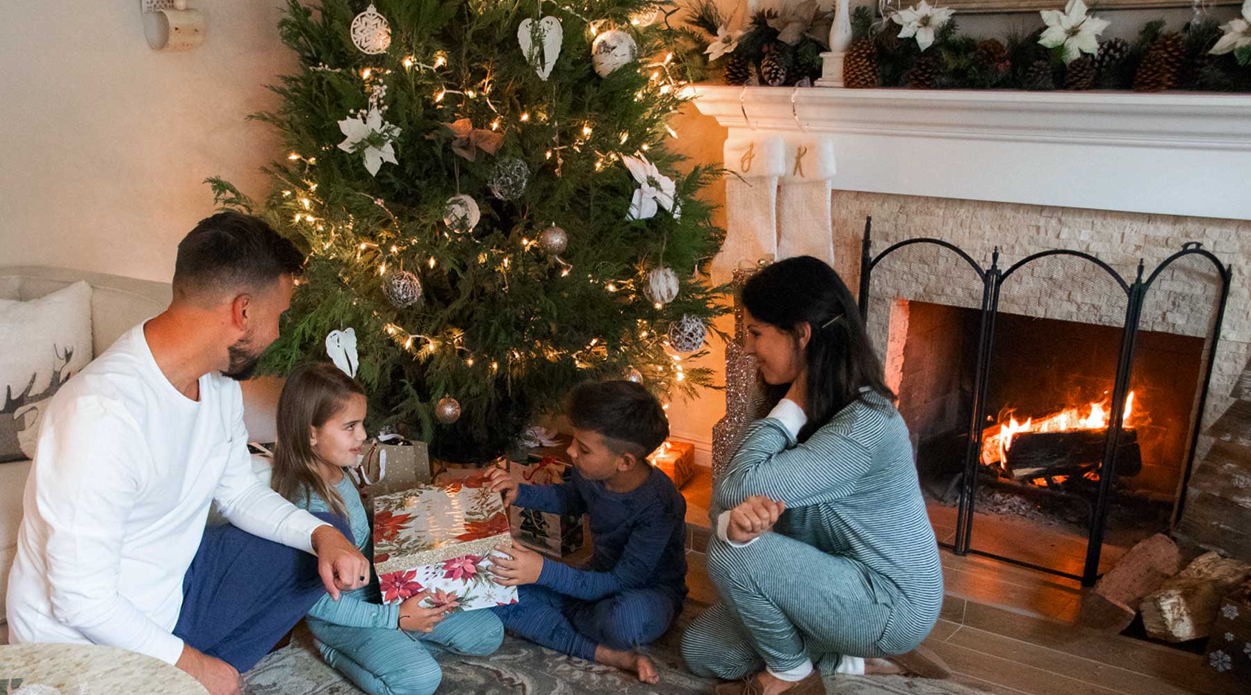 Buying Guide for Christmas Tree Stands - Fresh Cut – Yard Butler