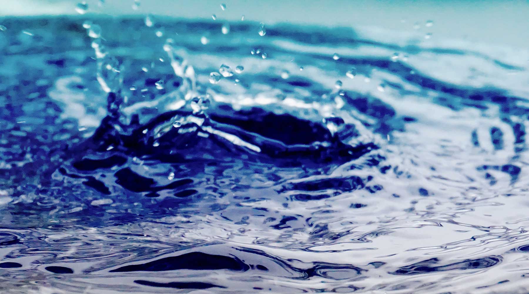 Rainwater Collection & Flood-proofing for Spring Storms – Yard Butler